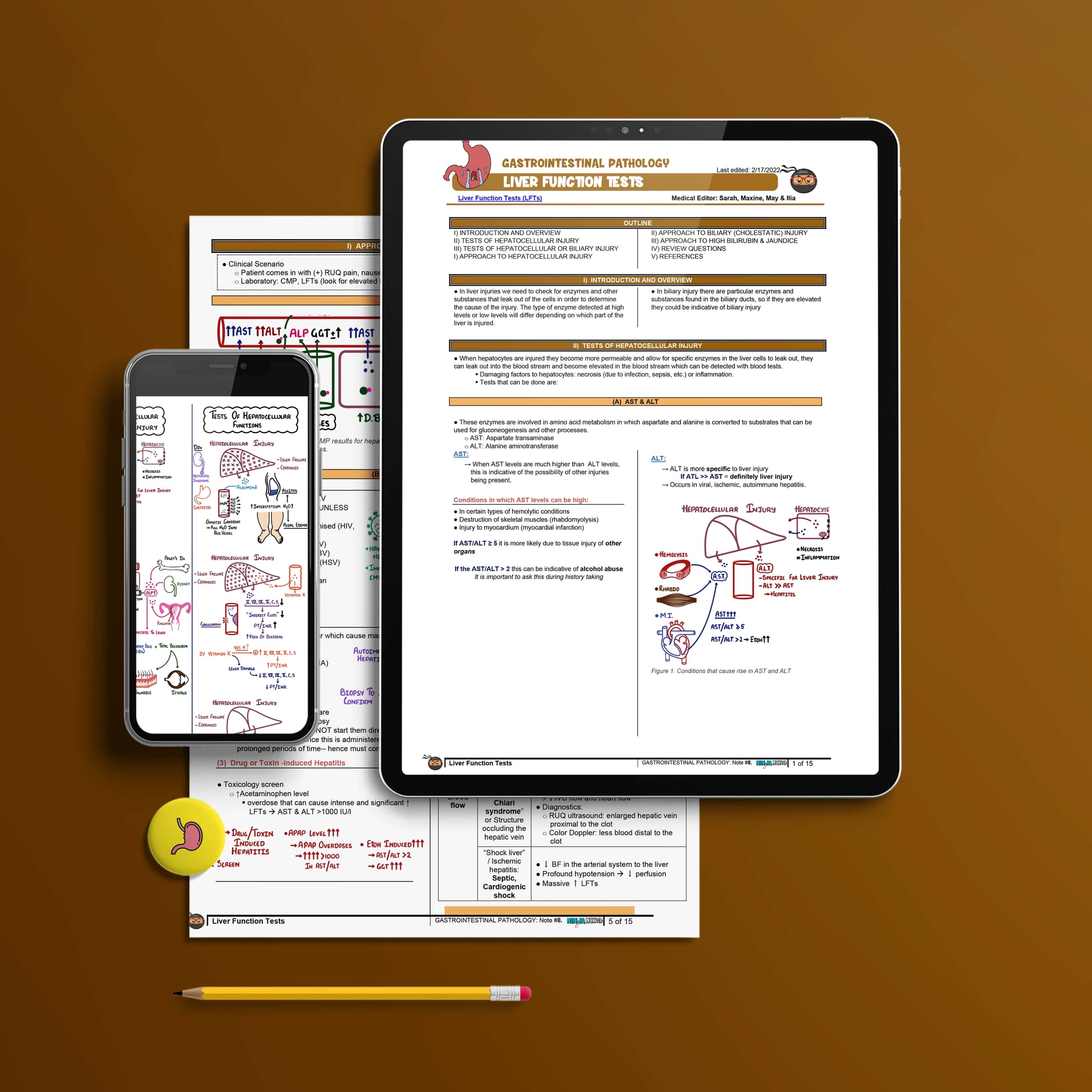 Liver Function Tests (LFTs) - Notes - NinjaNerd Medicine